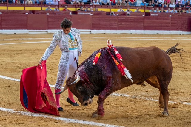 NOVILLEROS | Torosnoticiasmurcia