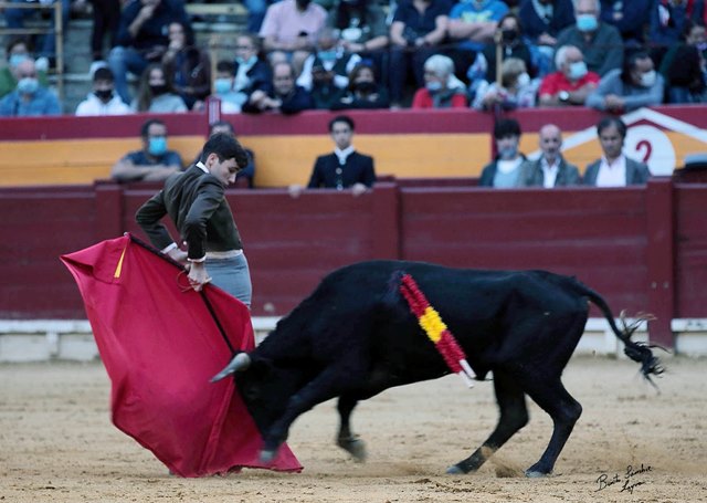 ESCUELAS TAURINAS | Torosnoticiasmurcia
